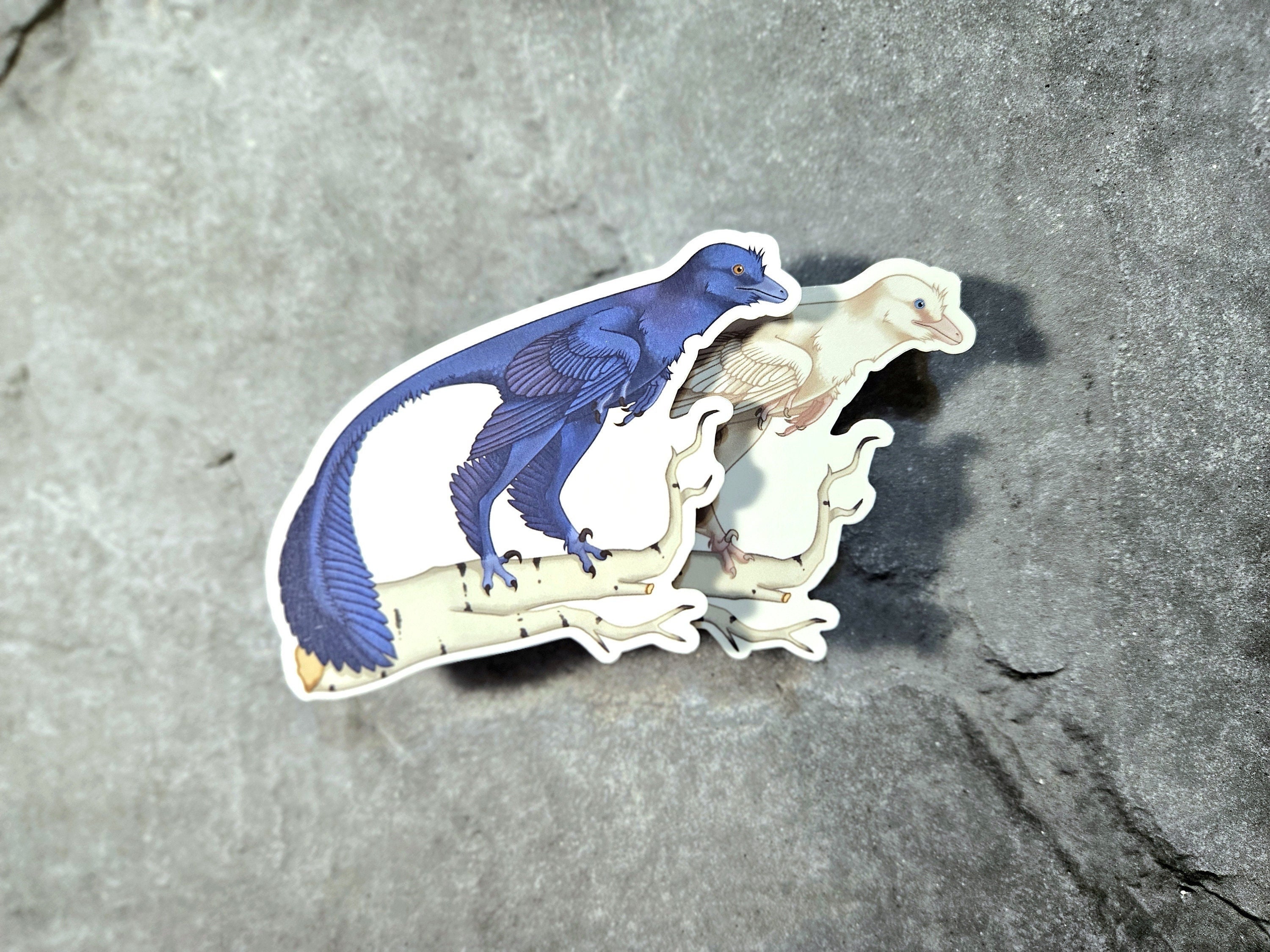 Microraptor Vinyl Sticker Paleontology Sticker 2 Different Variants ...