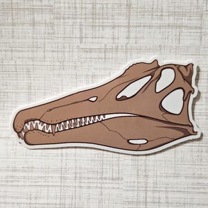 Dinosaur Skulls Vinyl Sticker Pack - Paleontology Stickers ...