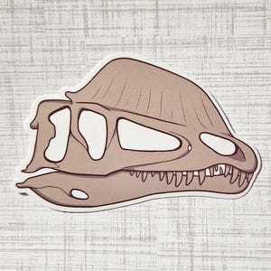 Dinosaur Skulls Vinyl Sticker Pack - Paleontology Stickers ...