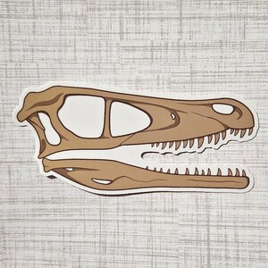 Dinosaur Skulls Vinyl Sticker Pack - Paleontology Stickers ...