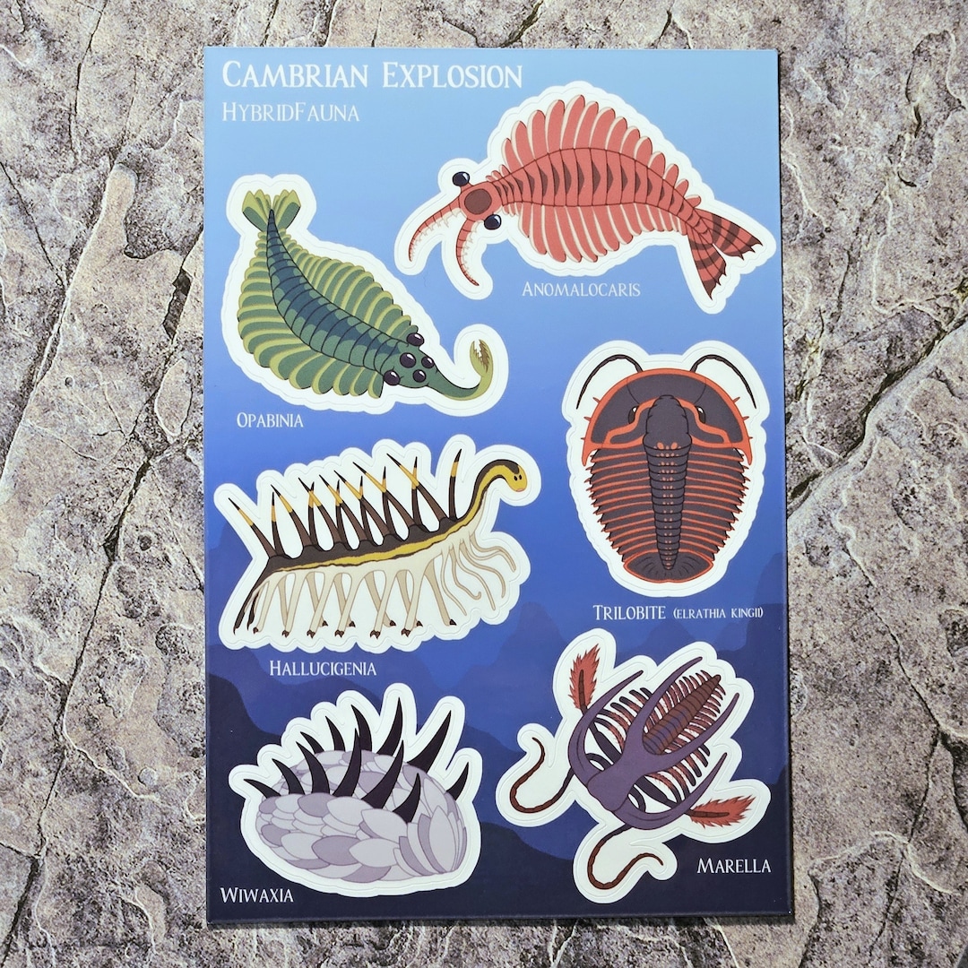 Cambrian Explosion Sticker Sheet Paleontology Stickers Anomalocaris ...
