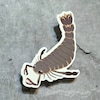 Spinosaurus Vinyl Sticker Paleontology Sticker - Etsy