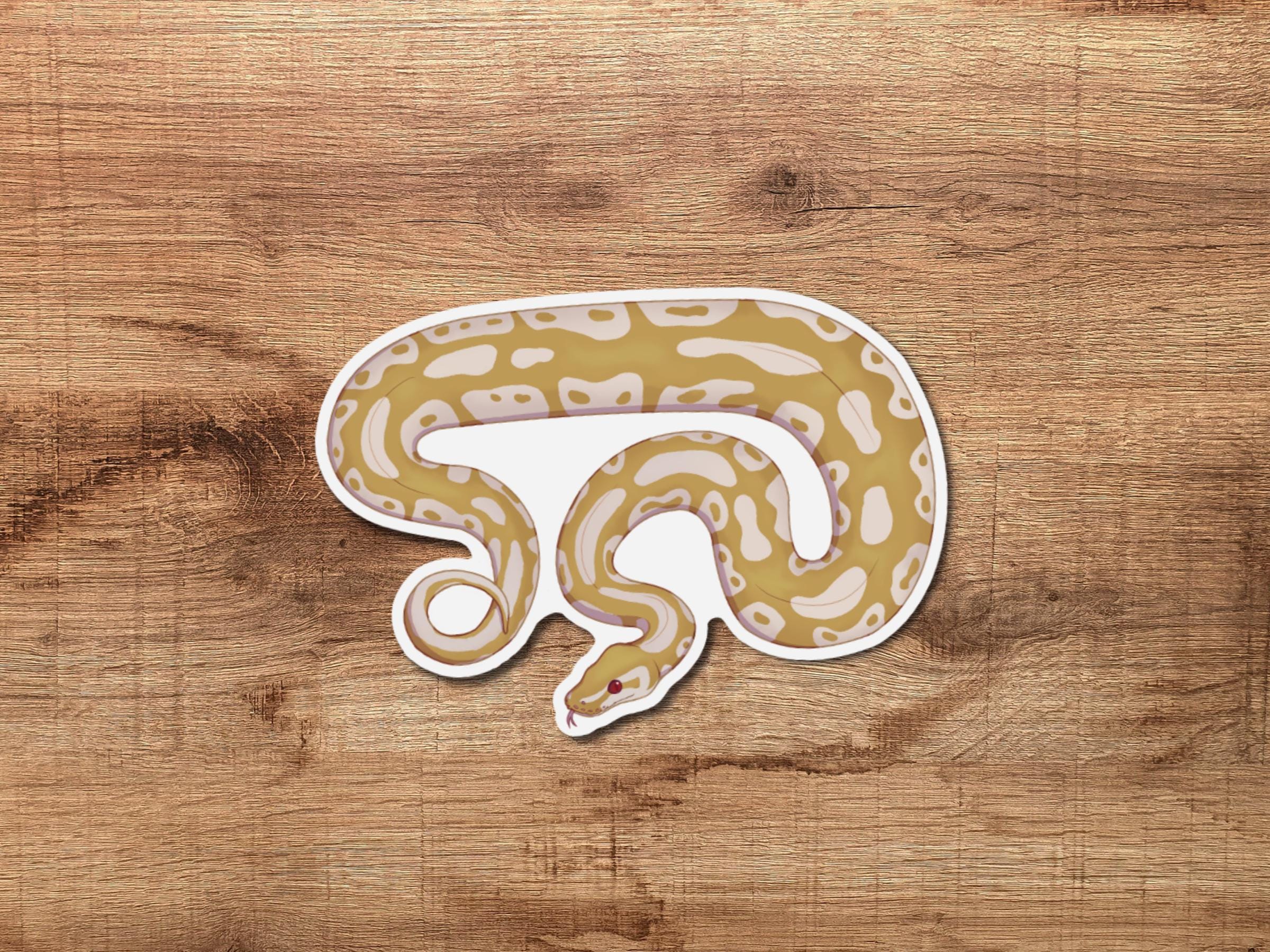 Ball Python Vinyl Stickers - 6 Morphs! - Albino, Piebald, Banana ...