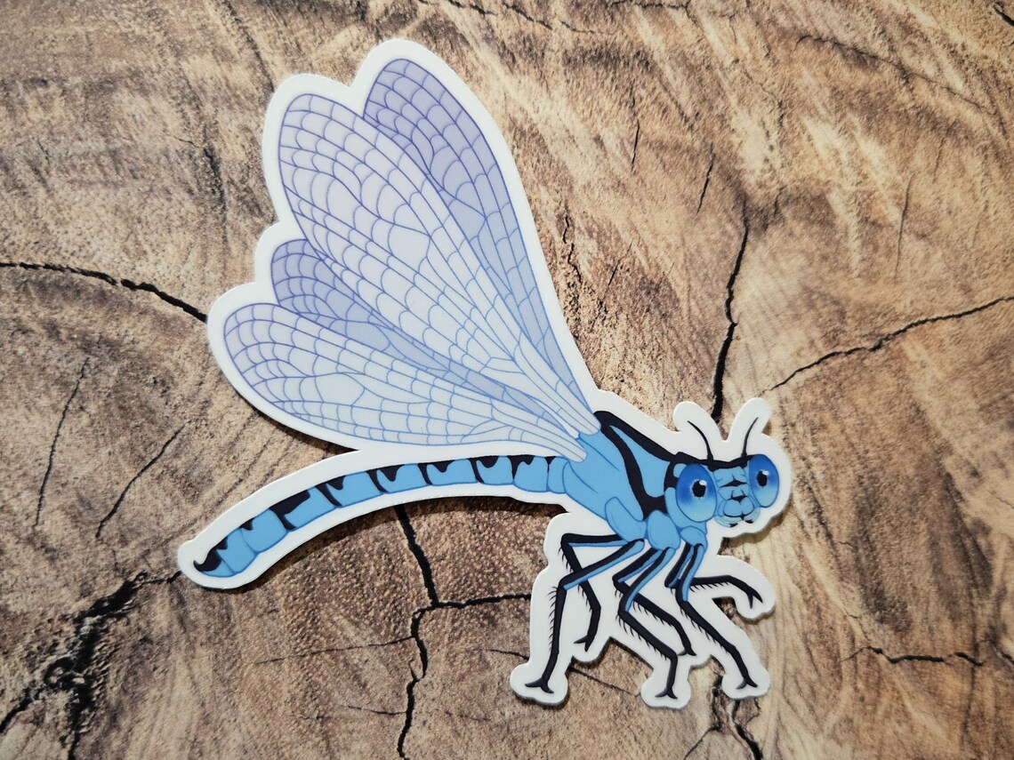 Insect Vinyl Stickers - Cute Bug Stickers - Arachnid Stickers - Etsy