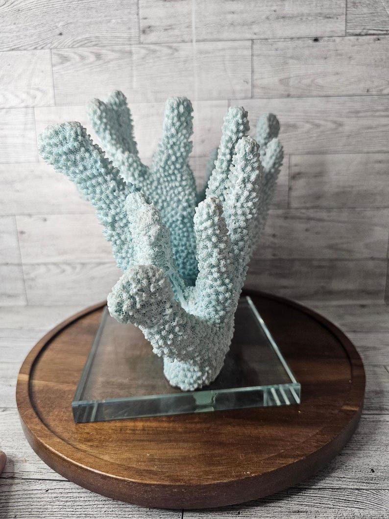 Faux Coral on Acrylic Base - Etsy