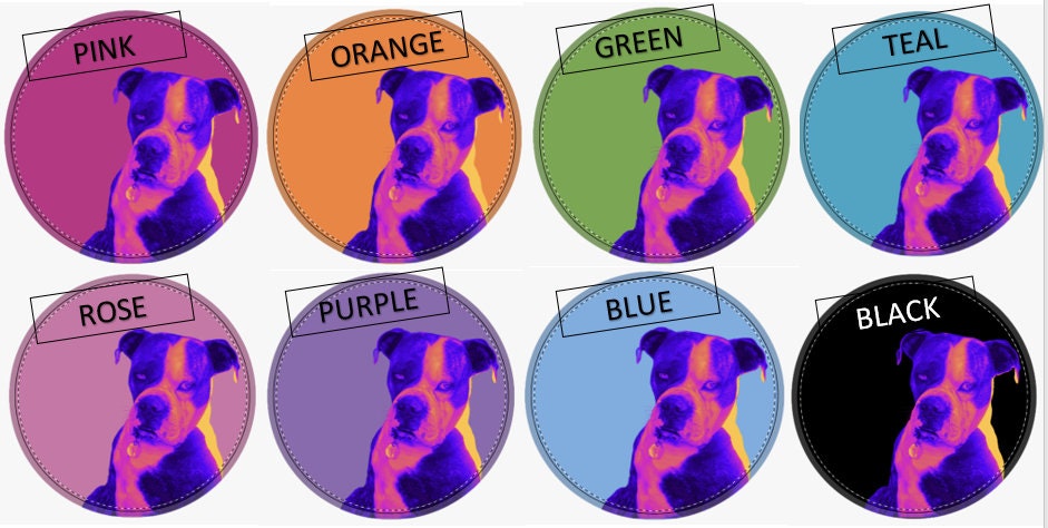 BIG CUSTOM Pet Portrait Rug: Technipet Roundy Rug, Customized Pet Gift ...