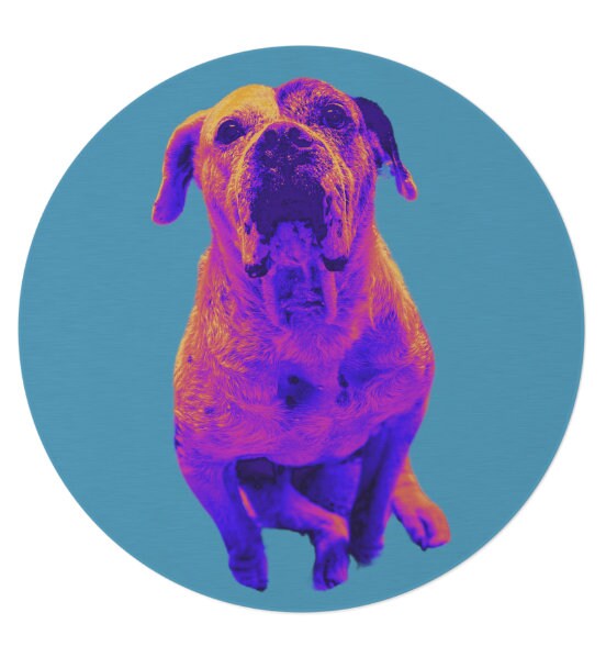 BIG CUSTOM Pet Portrait Rug: Technipet Roundy Rug, Customized Pet Gift ...
