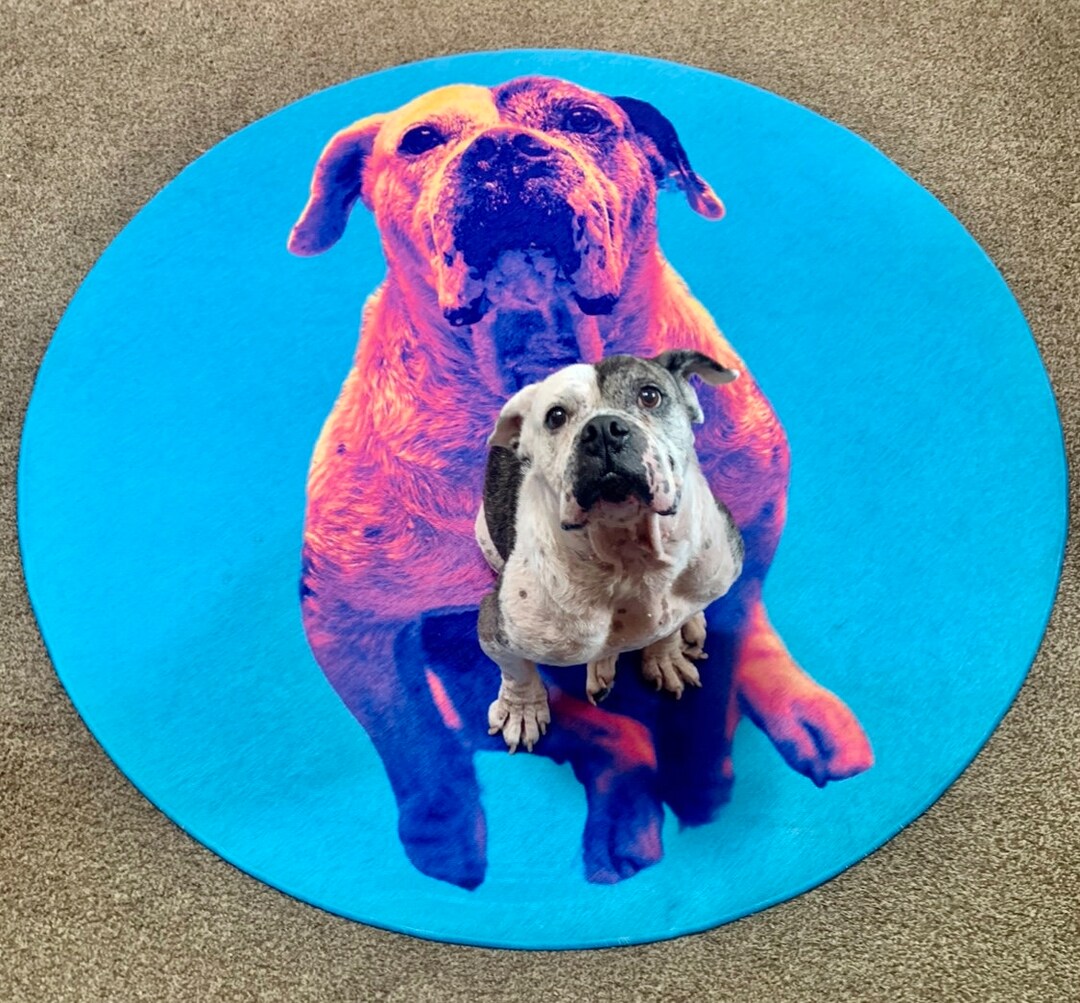 BIG CUSTOM Pet Portrait Rug: Technipet Roundy Rug, Customized Pet Gift ...
