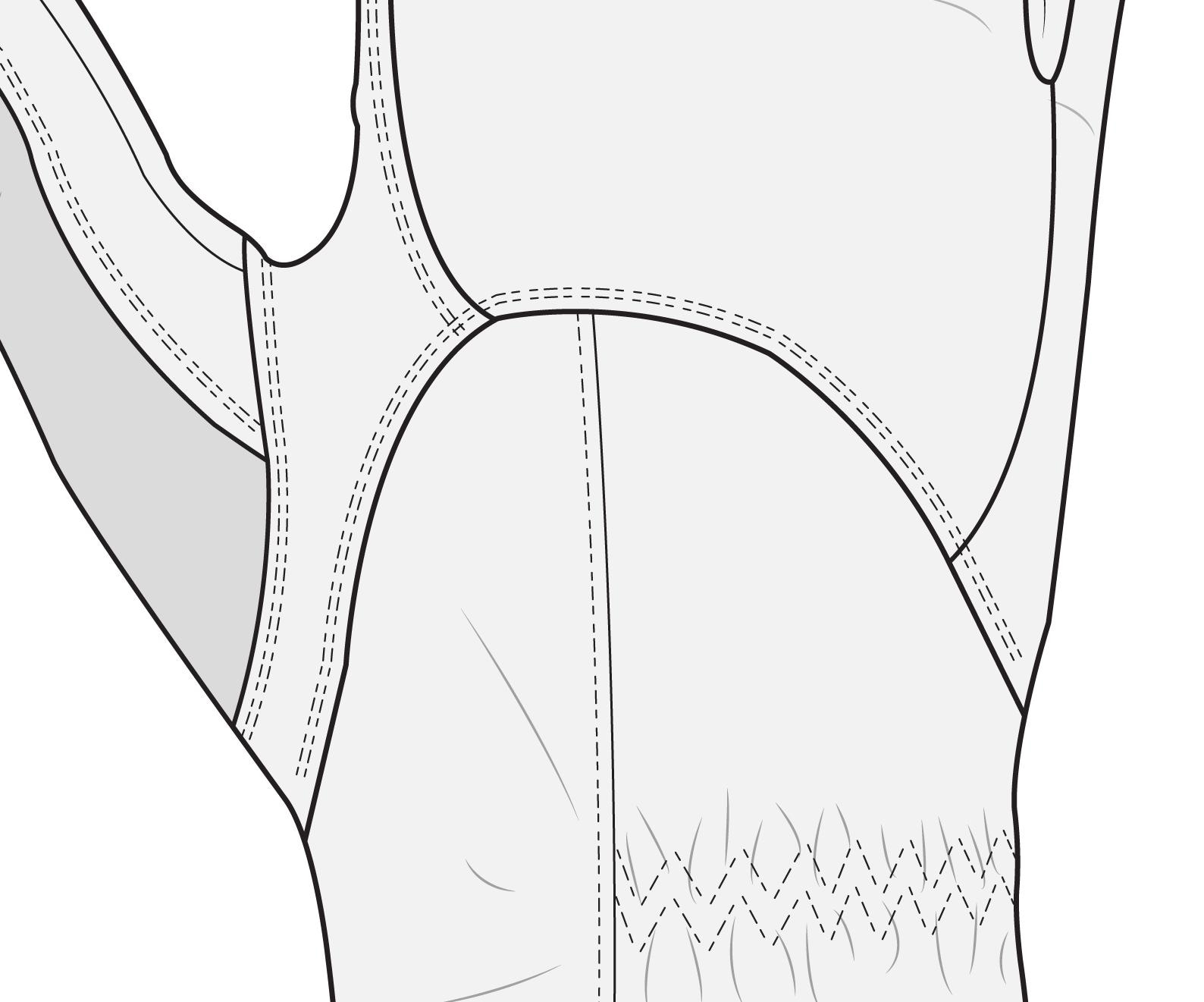 Glove Design Template: Fall Winter Fashion Illustration (adobe ...