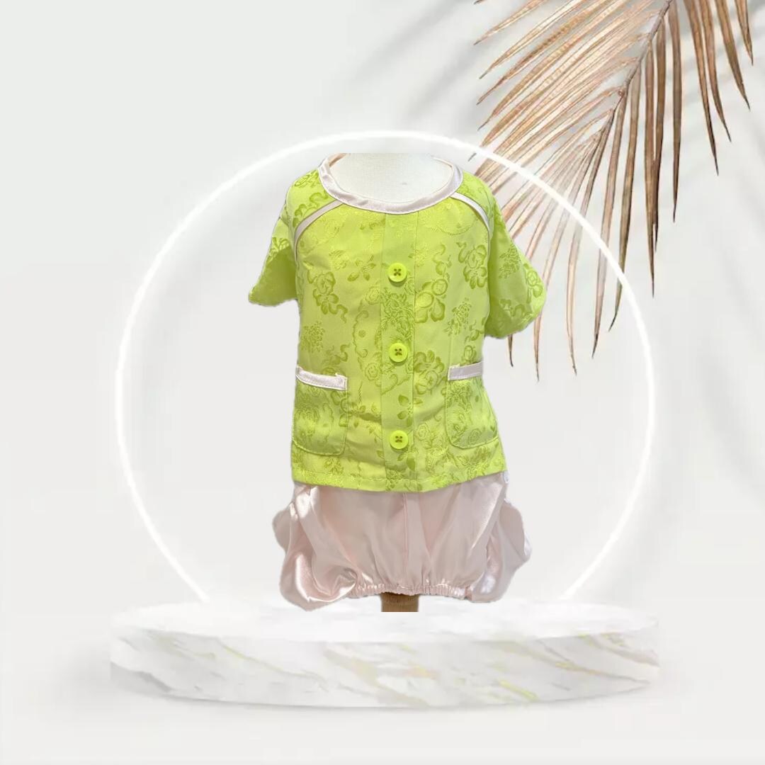 Traditional Vietnamese Ao Ba Ba Dresses or Ao Dai for Your Male Dog/cat ...