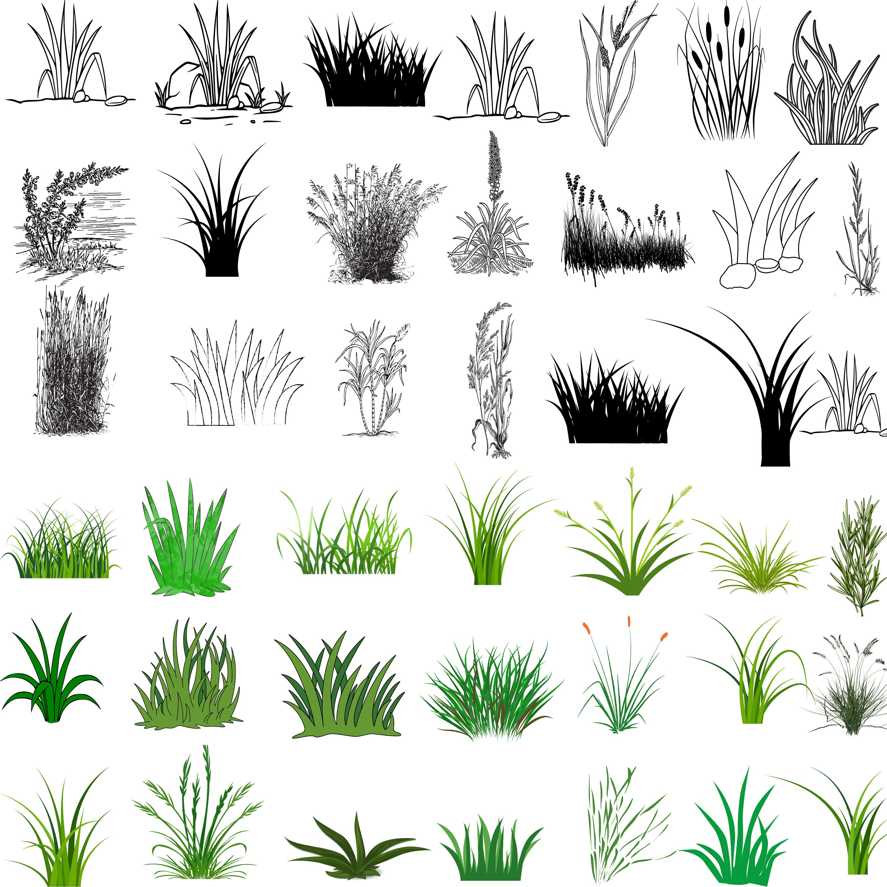 GRASS SVG BUNDLE, Gras svg Clipart, Wildes Gras svg schnitt Dateien für ...