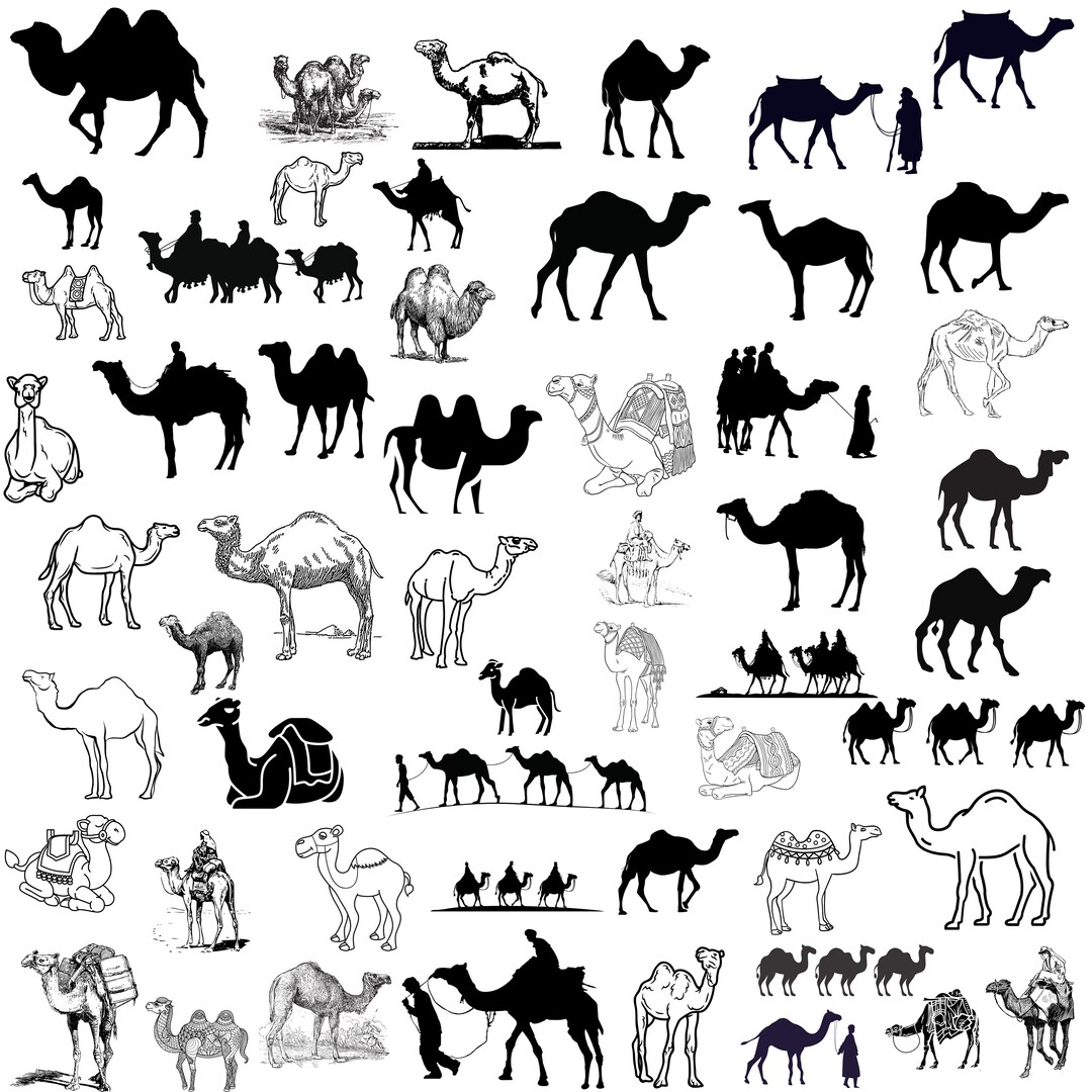 Camel SVG Bundle, Camel Vector, Camel Cut Files, Camel Monogram, Camel ...