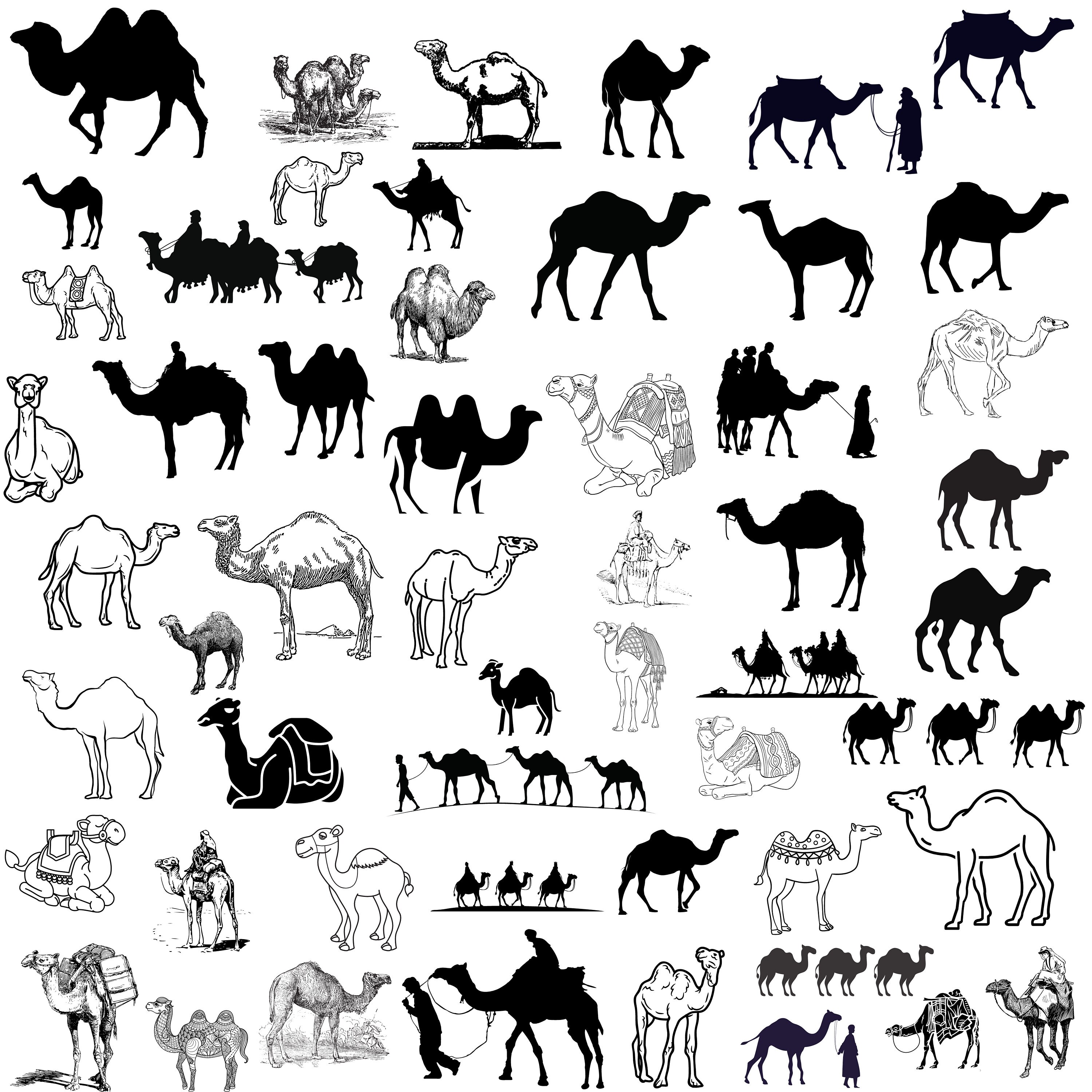 Camel SVG Bundle, Camel Vector, Camel Cut Files, Camel Monogram, Camel ...