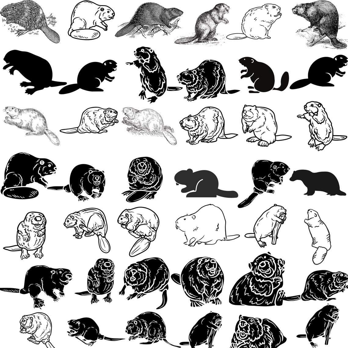 WILD BEAVER SVG, River Beaver Svg Files for Cricut, Mammal Beaver ...