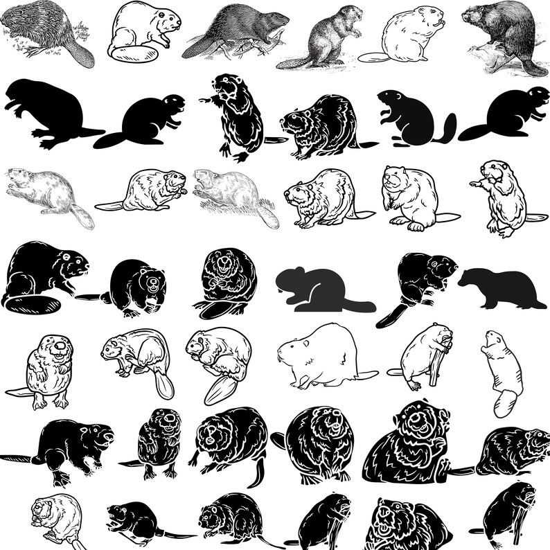 WILD BEAVER SVG, River Beaver Svg Files for Cricut, Mammal Beaver ...