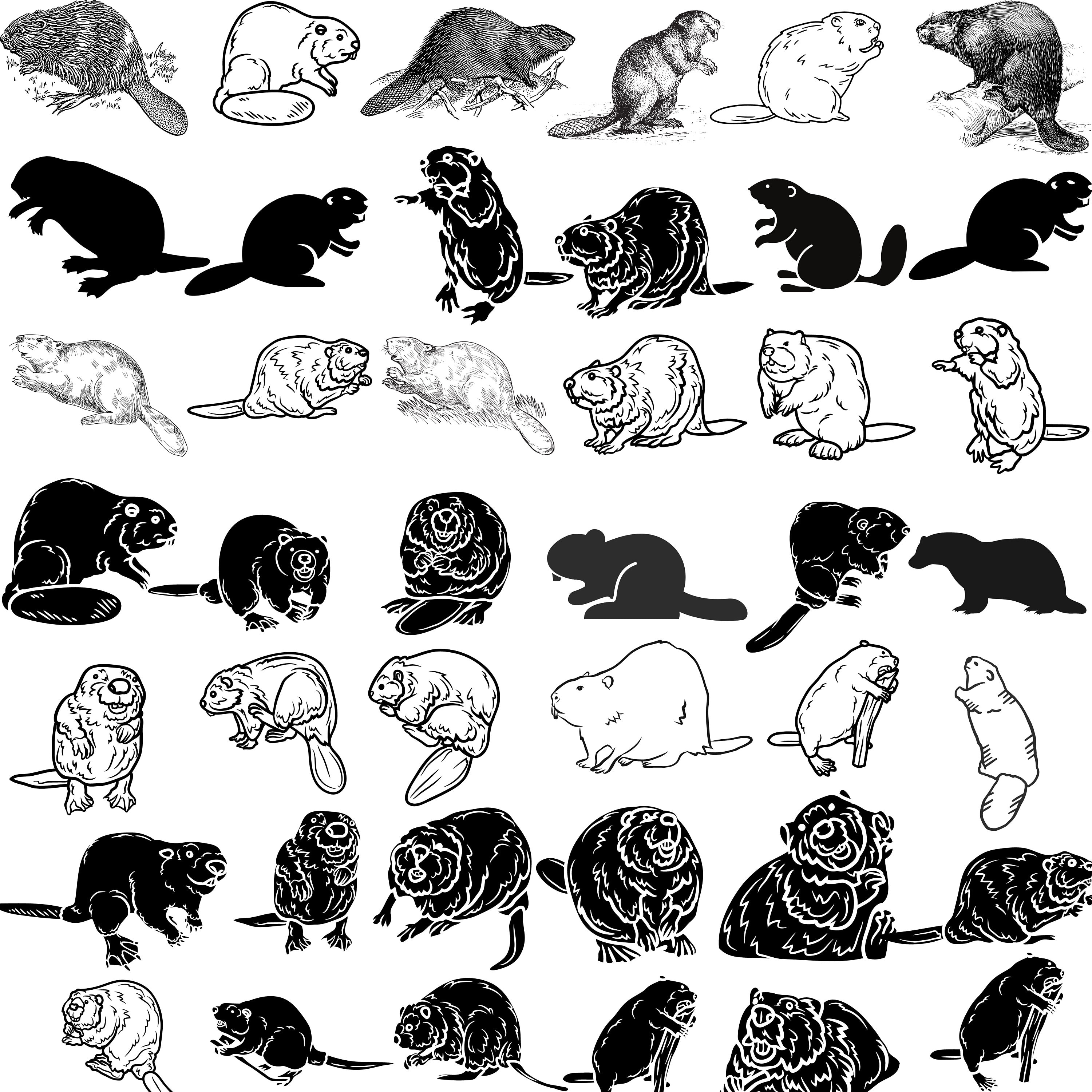 WILD BEAVER SVG, River Beaver Svg Files for Cricut, Mammal Beaver ...
