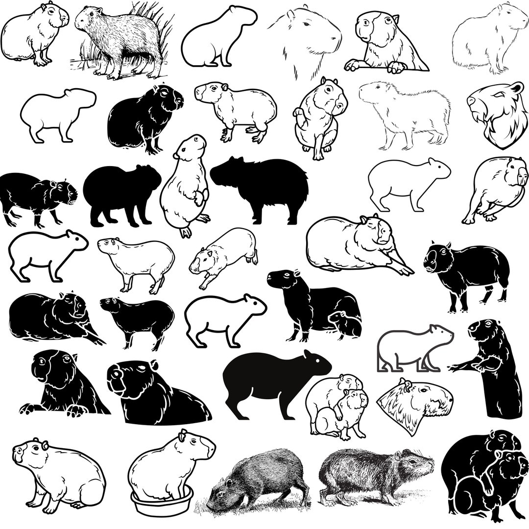 Paquete SVG de Capibara, vector de Capibara, imágenes prediseñadas de ...