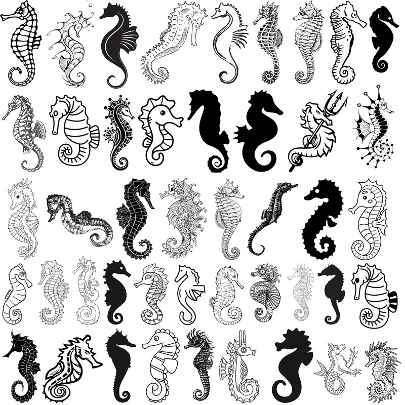 Seahorse Monogram - Etsy