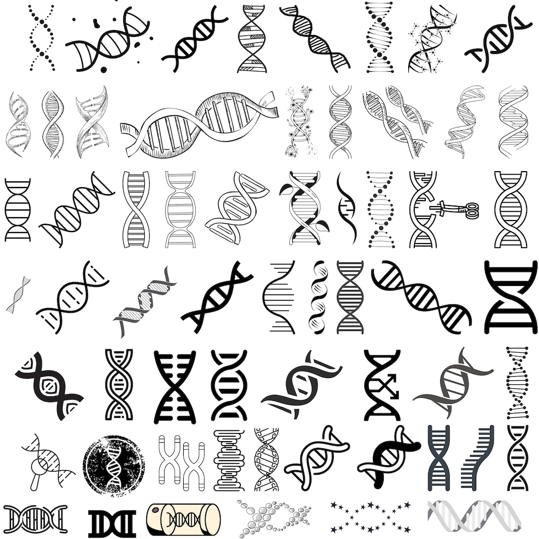 Dna SVG Bundle, Dna Clipart, Molecule Svg, Science Svg, Dna Strand Svg ...