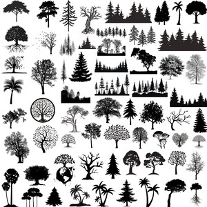 TREES SVG Bundle , Wide Selection of Trees, Tree Silhouette Svg Bundle ...