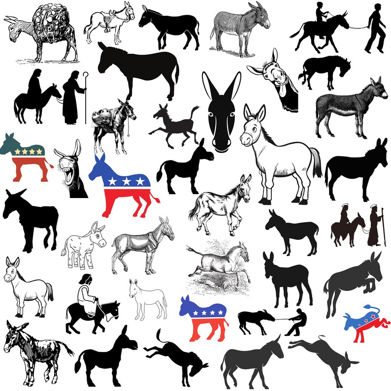 Donkey SVG Bundle, Funny Donkey Svg, Donkey Peeking Svg, Farm Animal ...