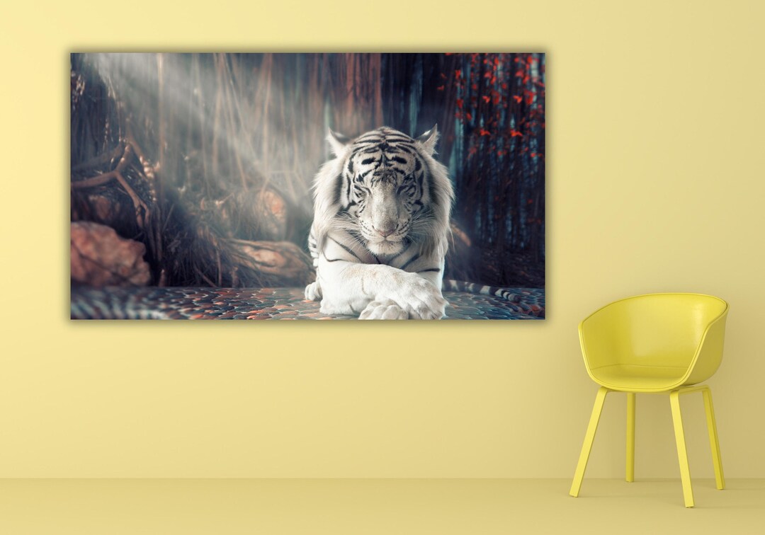 White Tiger Canvas Art Print,animal Wall Art Decor,modern Wall Art ...