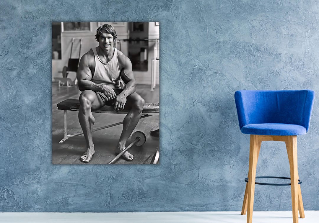 Arnold Schwarzenegger Poster Art Decor,arnold Schwarzenegger Print Art ...
