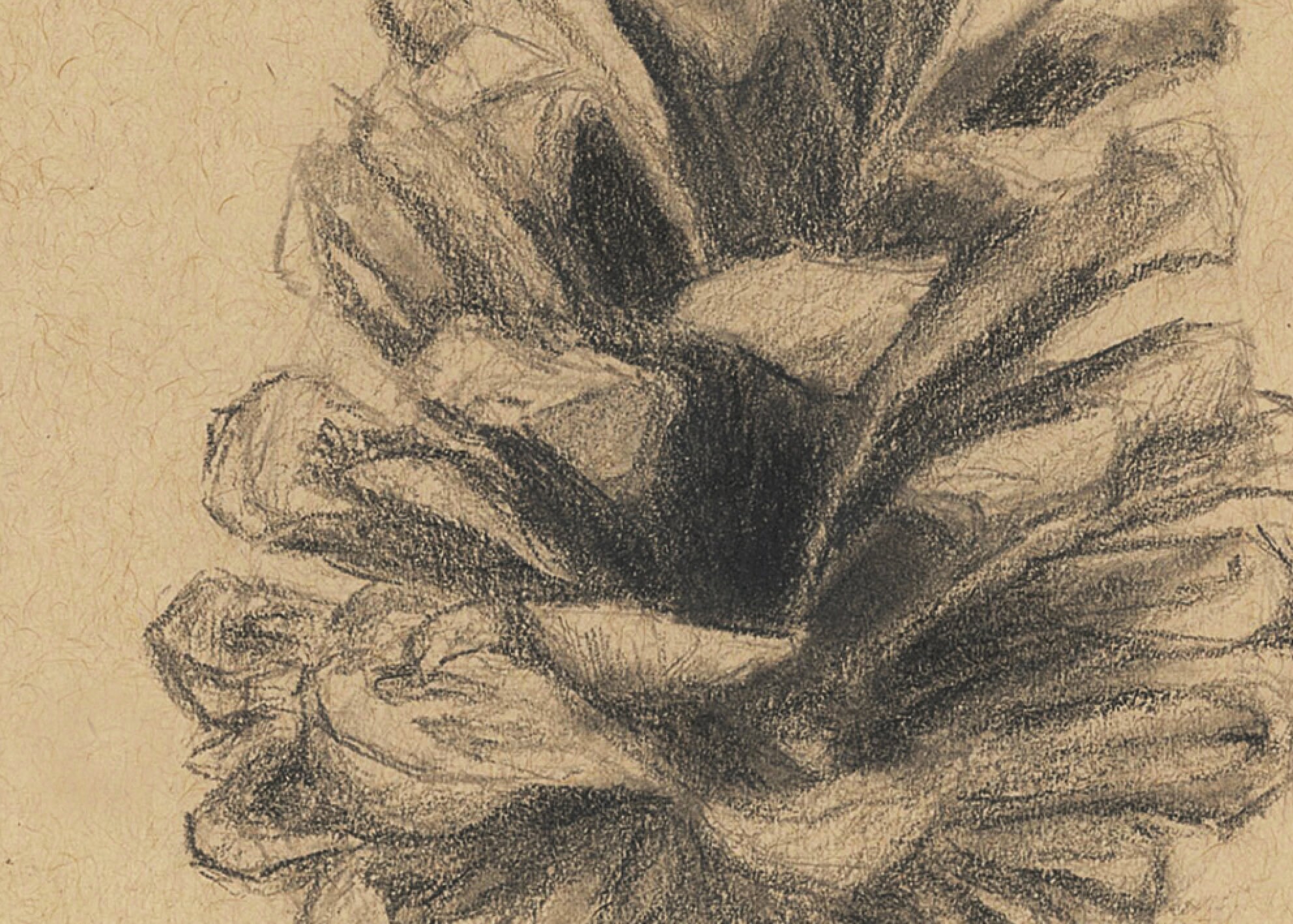 Pine Cone Pencil Drawing ,original Painting, Woodland Wall Art, Pine ...