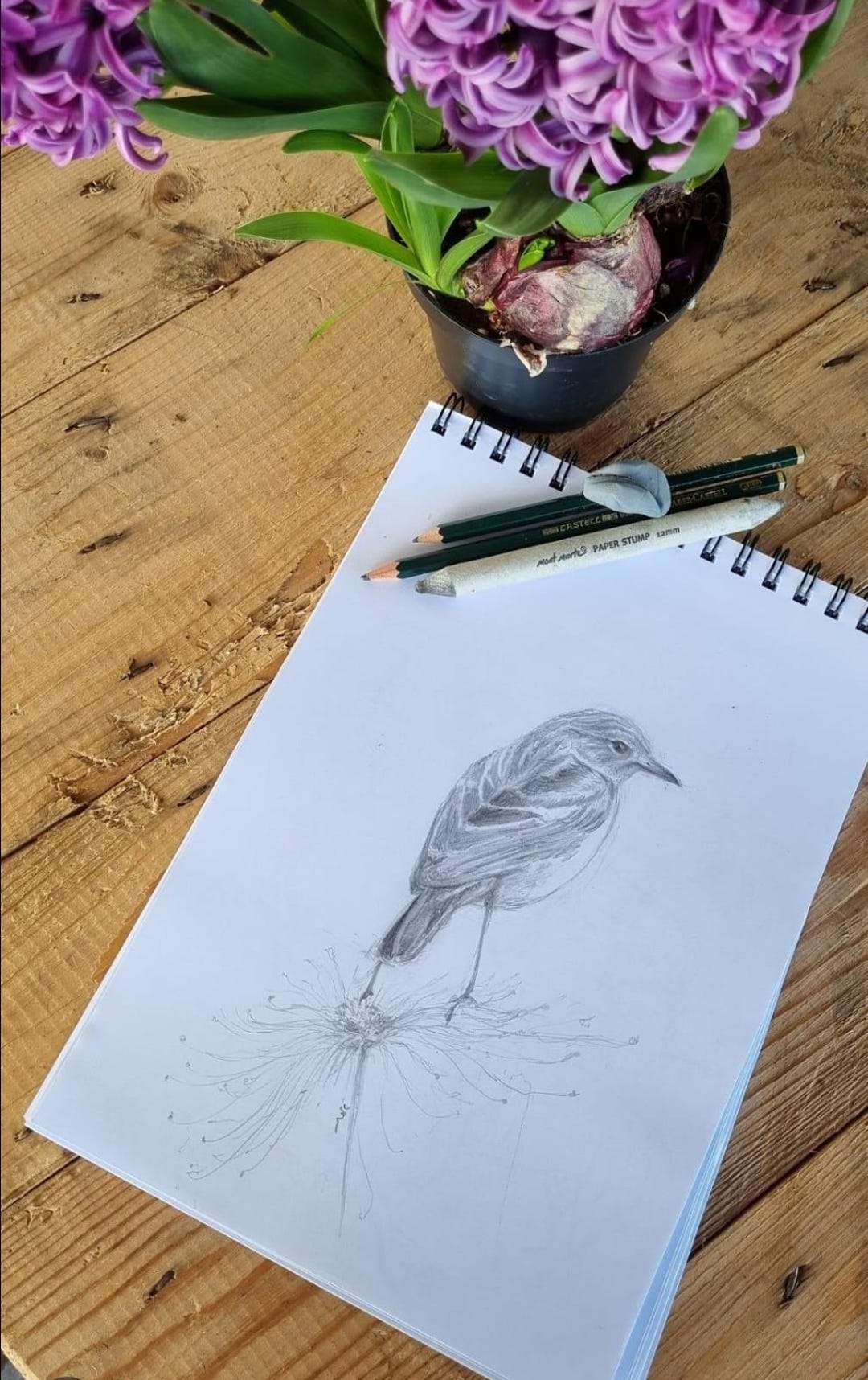 Little Bird Sketch Drawing, Hand Made Realistic Original Painting,bird ...