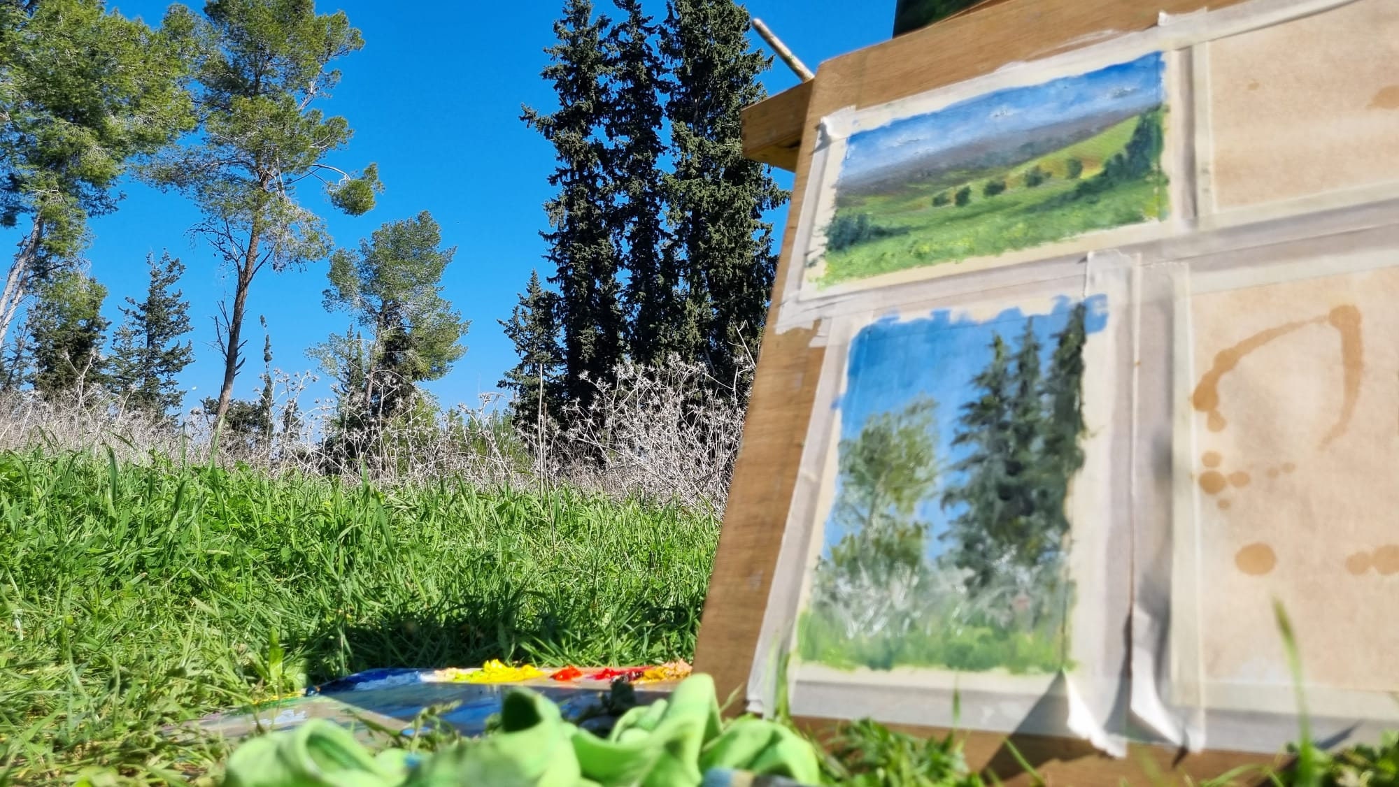 My Favorite Spot at A Near by Forest Print ,original Hand Made Painting ...