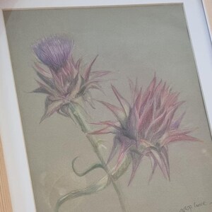 Original Painting, Cynara Cadunculus, Wild Artichoke, Hand Made Fine ...