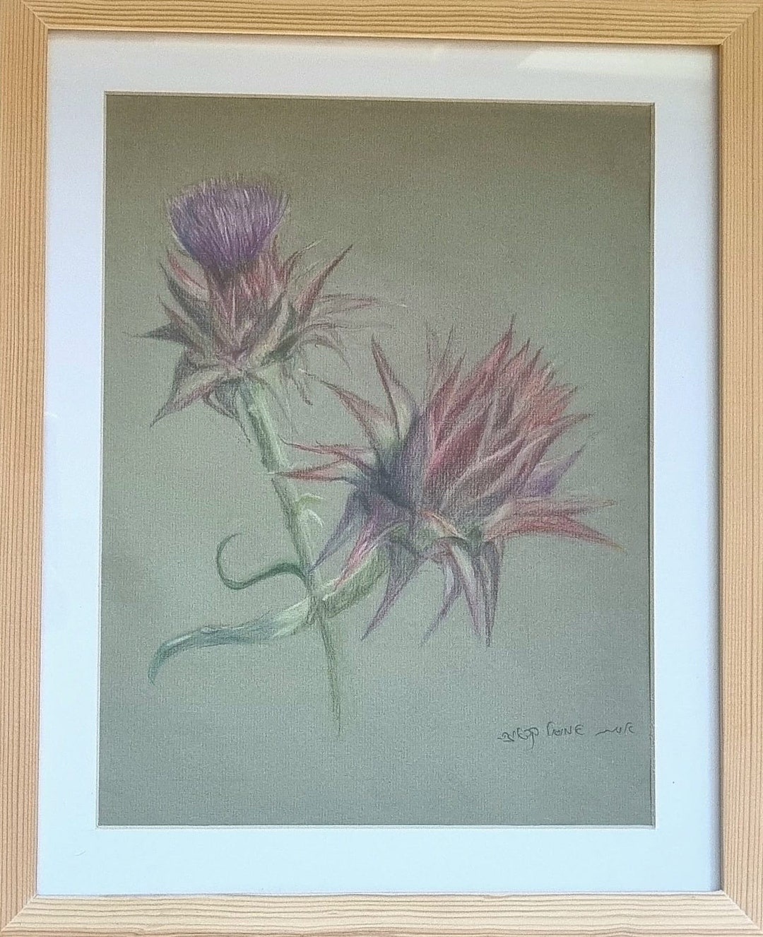 Original Painting, Cynara Cadunculus, Wild Artichoke, Hand Made Fine ...