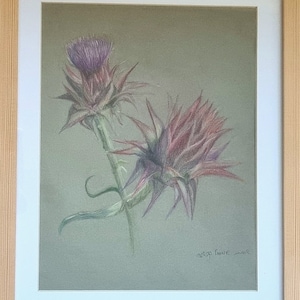 Original Painting, Cynara Cadunculus, Wild Artichoke, Hand Made Fine ...