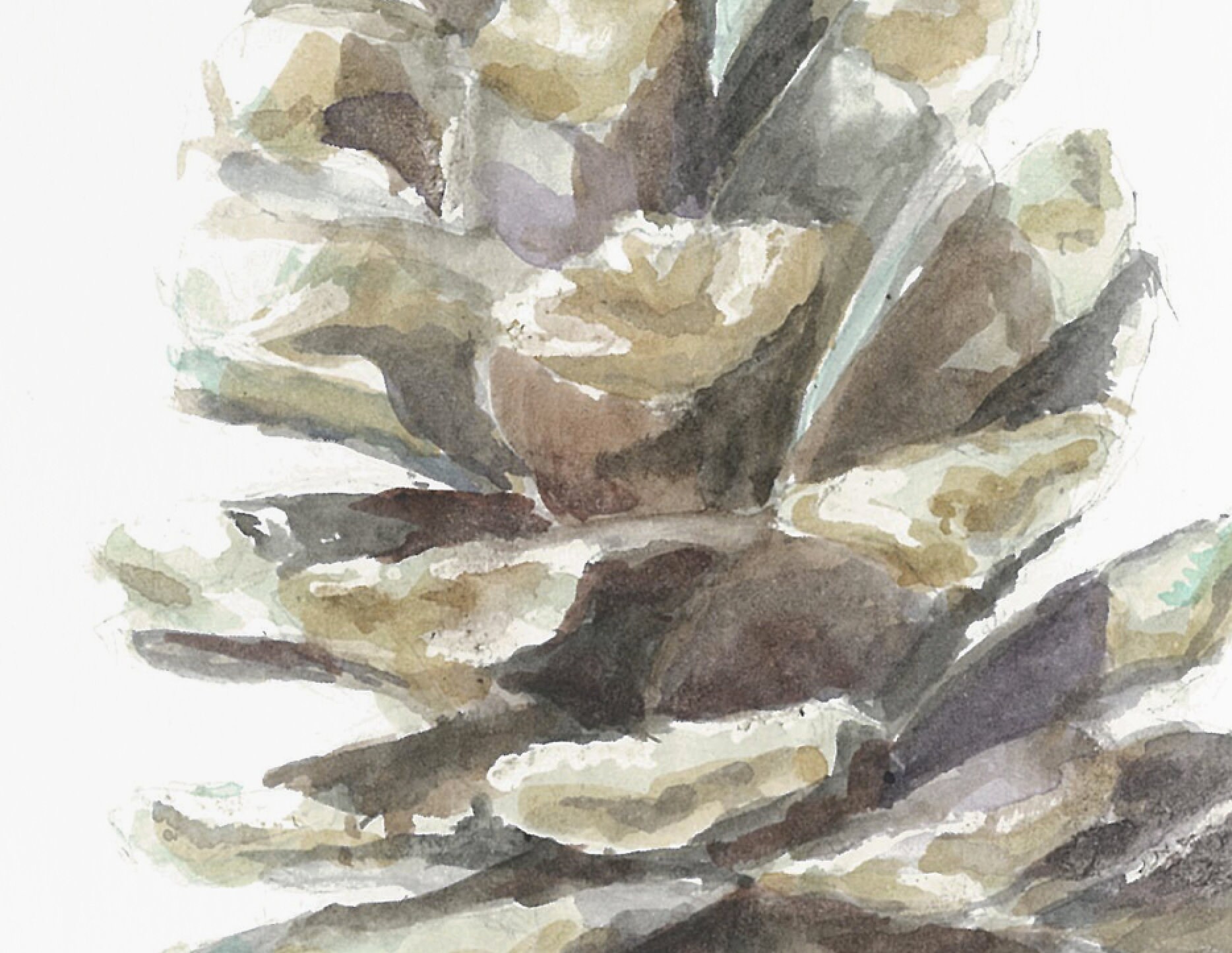 Pine Cone Print ,original Painting, Woodland Wall Art, Pine Cone Painting, Fine Art Print, Water ...