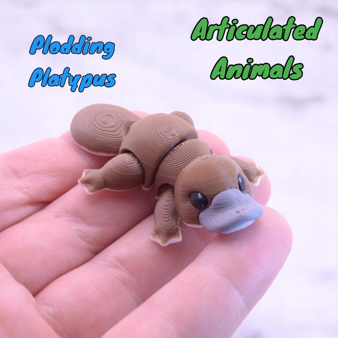 3D Printed Articulated Platypus: Aussie Desk Pet Fidget - Etsy