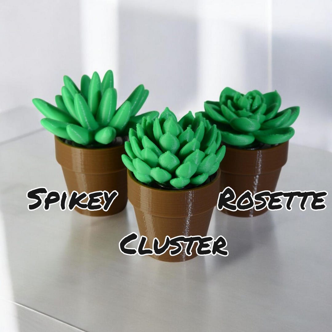 Spinny Succulent | Spinning Fidget Toy | Fun Desk Decor | Unique Gift ...