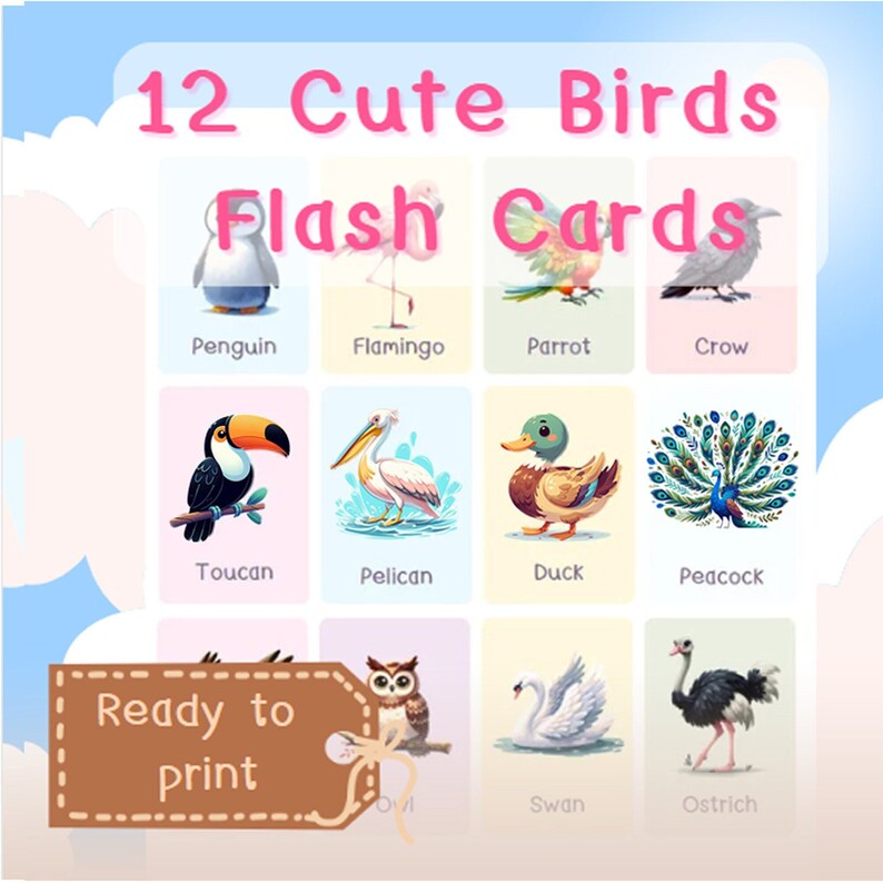 12 Cute Birds Cards, Montessori Flashcards, Pre-school Cards ...