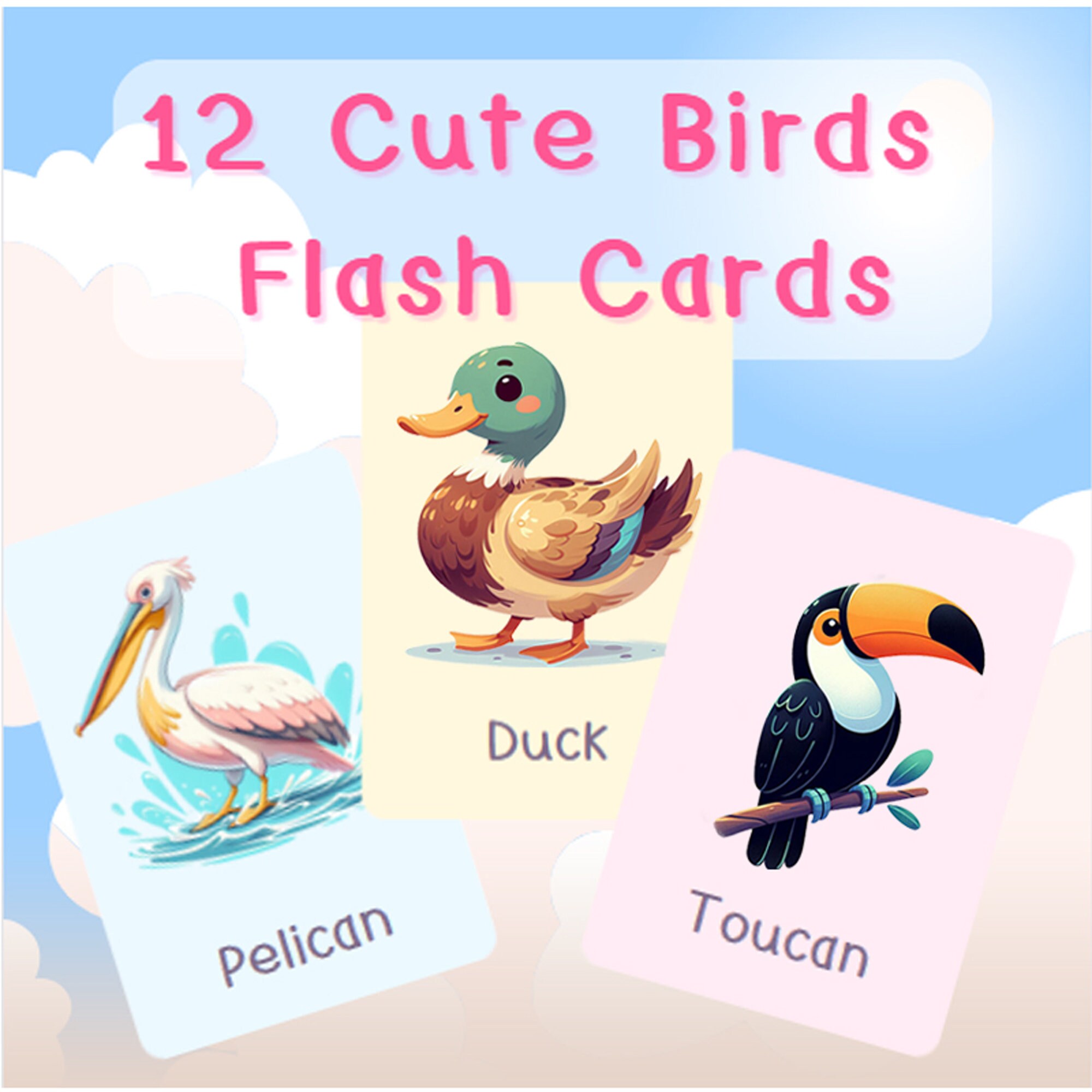 12 Cute Birds Cards, Montessori Flashcards, Pre-school Cards ...