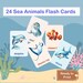 Cute Sea Animals Flashcards 24 Montessori Cards Flash Cards ...