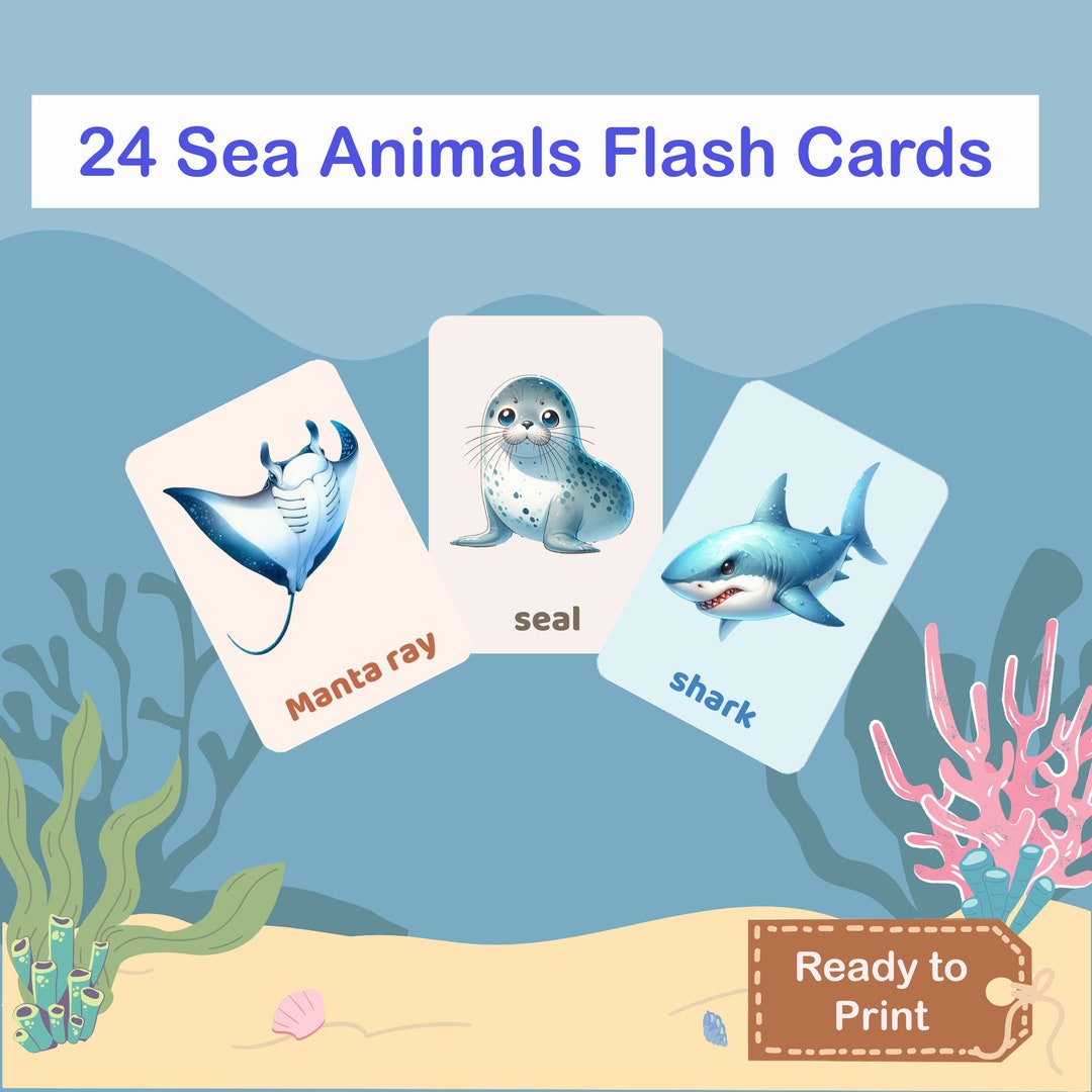 Cute Sea Animals Flashcards 24 Montessori Cards Flash Cards ...