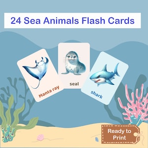 Cute Sea Animals Flashcards 24 Montessori Cards Flash Cards ...