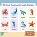 Cute Sea Animals Flashcards 24 Montessori Cards Flash Cards ...