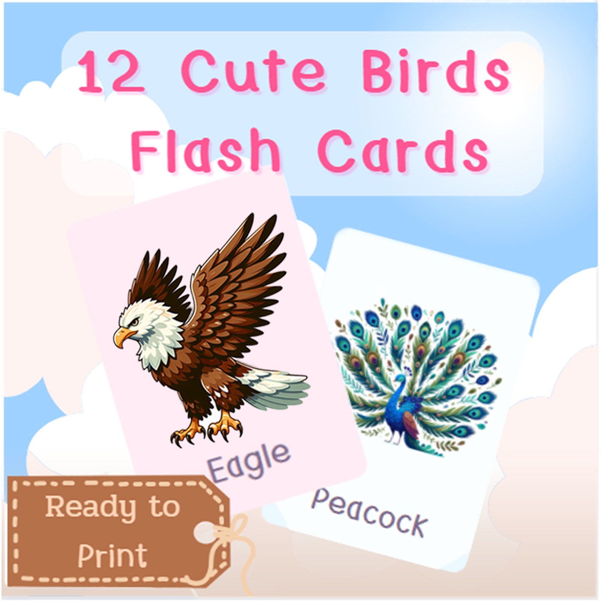 12 Cute Birds Cards, Montessori Flashcards, Pre-school Cards ...