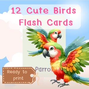 12 Cute Birds Cards, Montessori Flashcards, Pre-school Cards ...
