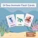 Cute Sea Animals Flashcards 24 Montessori Cards Flash Cards ...