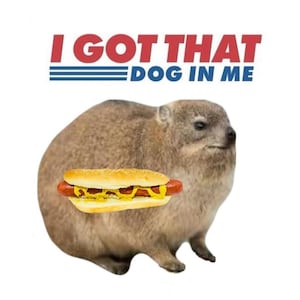 Large Hyrax Sticker: 6"x 4.7" Costco Hot Dog Hyrax. Funny Cute Animal ...