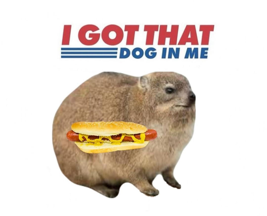 Large Hyrax Sticker: 6x 4.7 Costco Hot Dog Hyrax. Funny Cute Animal ...