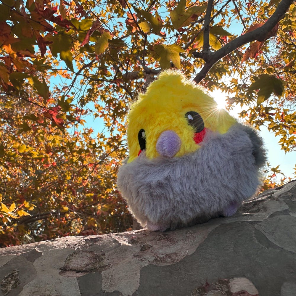 FriendsPlushies - Etsy