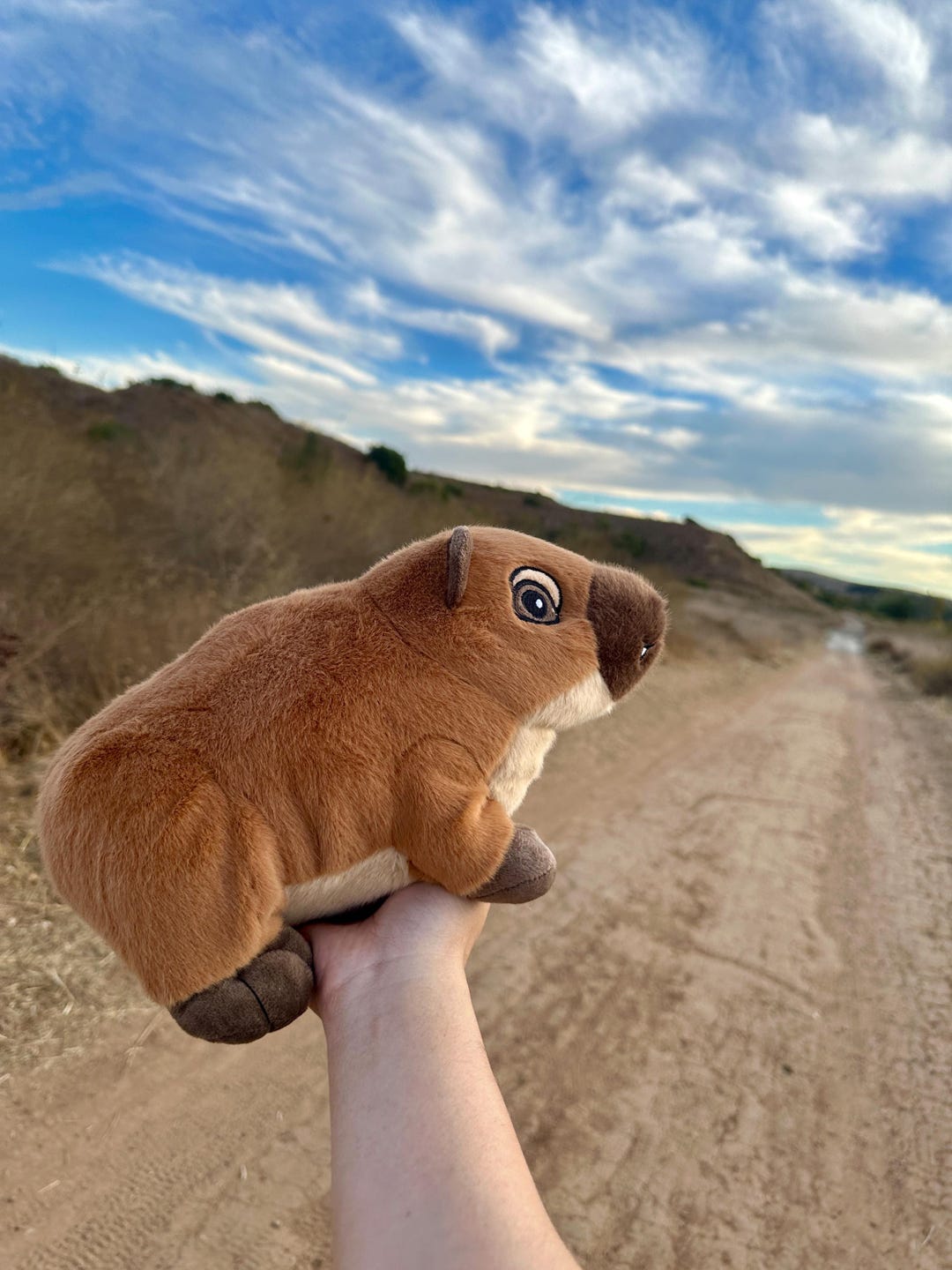 Hyrax Plush, Life Sized Rock Hyrax Stuffed Animal| 1 Foot Long 12 ...