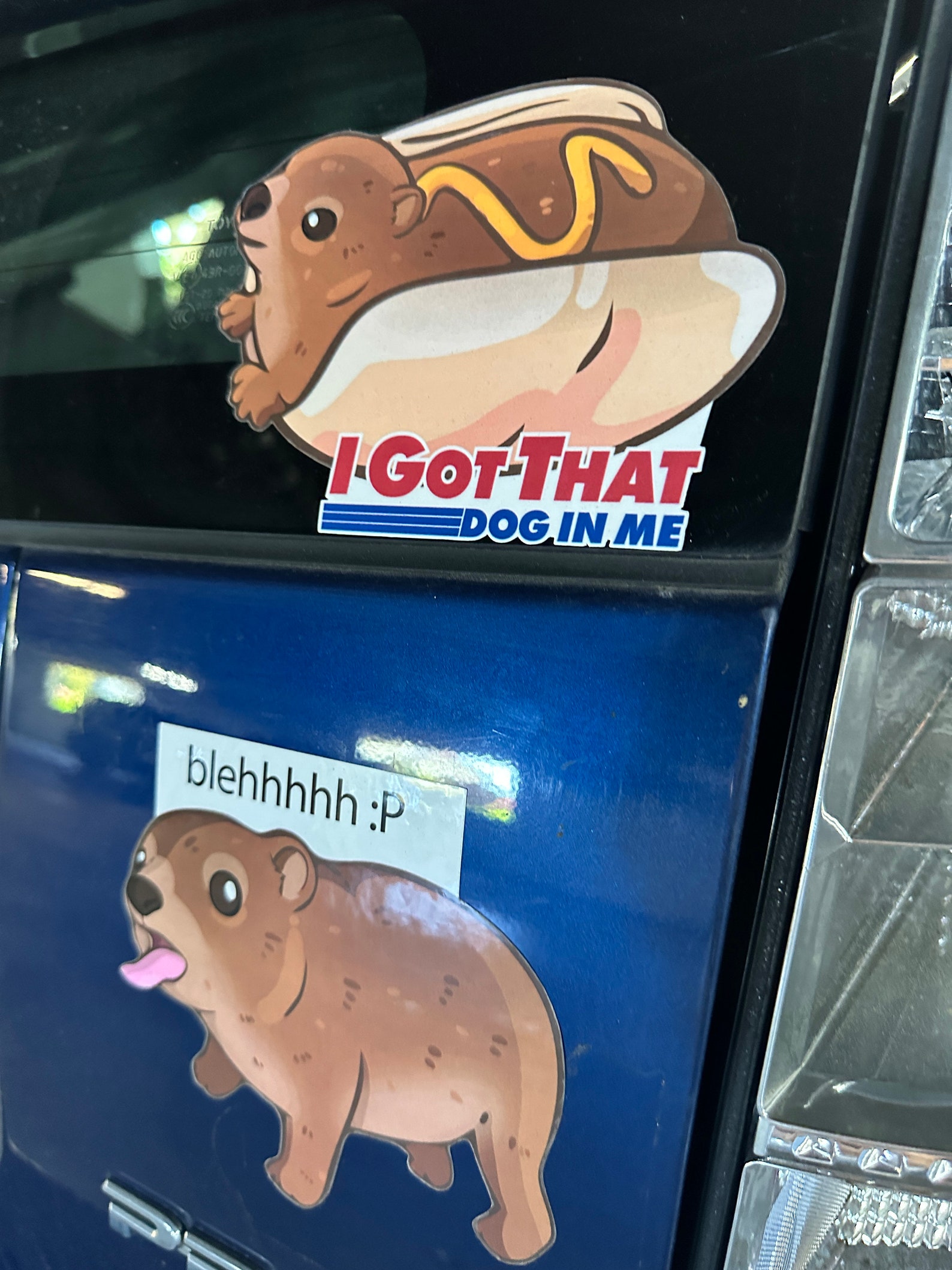 Large Hyrax Sticker: 6x 4.7 Costco Hot Dog Hyrax. Funny Cute Animal ...